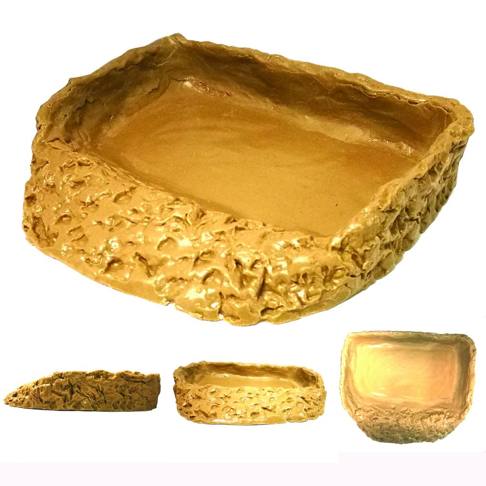 Tortoise Corner Ramp Bowl XLarge